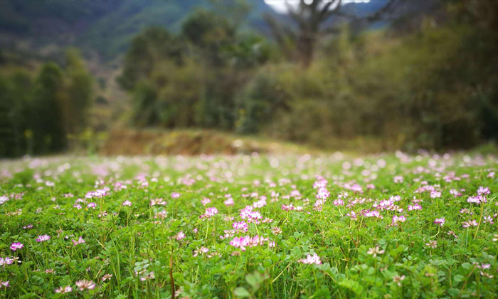 FIBONACCI DESIGN STUDIO » 前言