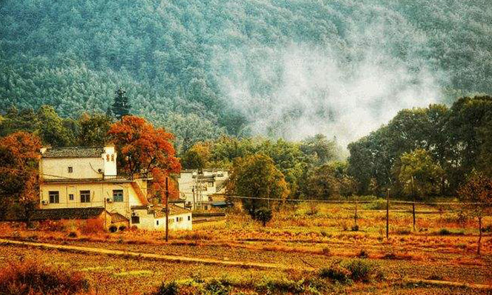 FIBONACCI DESIGN STUDIO » 前言